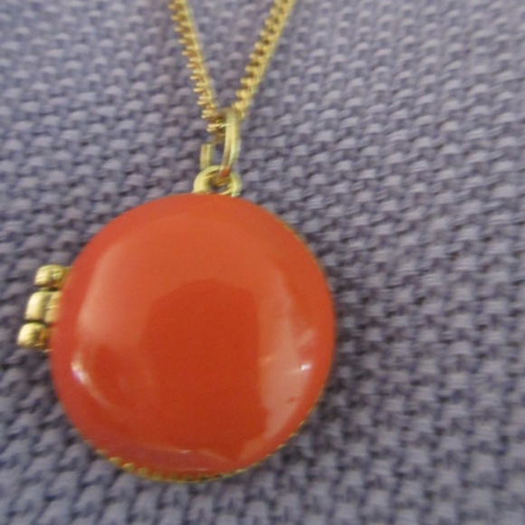 Jewelry | Round Coral Locket With Chain Link Necklace | Poshmark